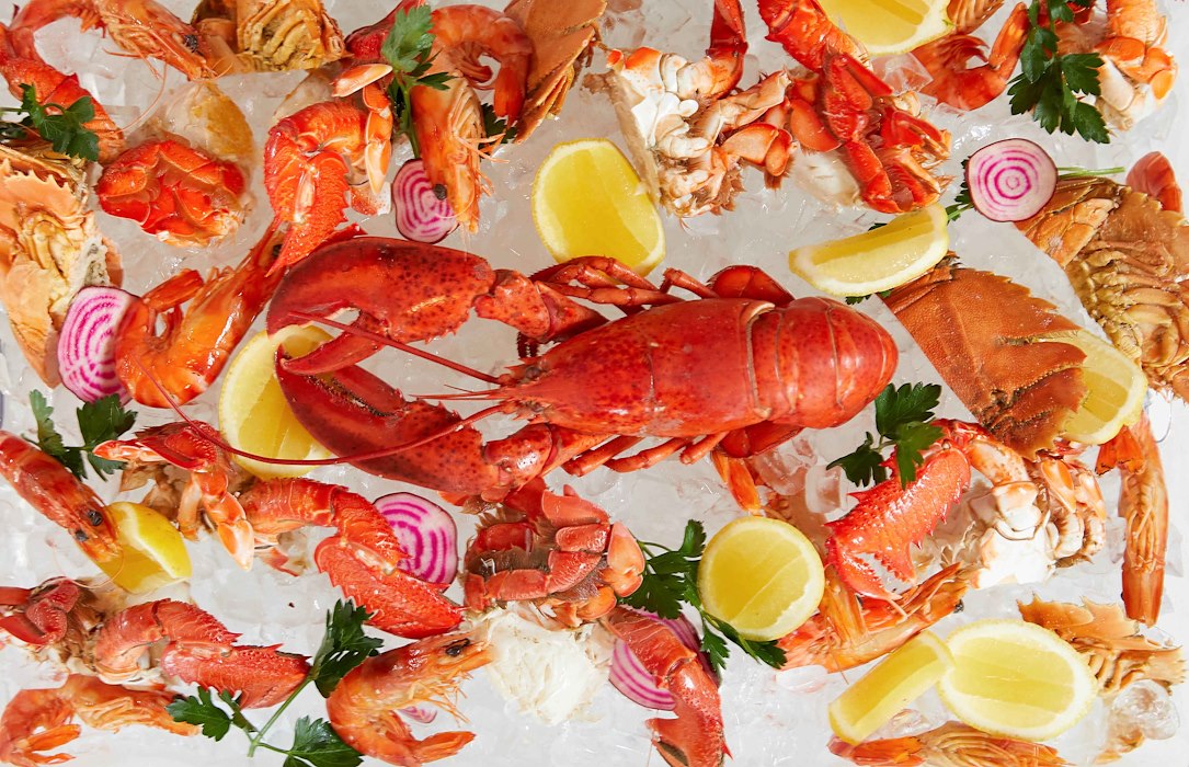 Seafood Restaurant in Surfers Paradise | Citrique