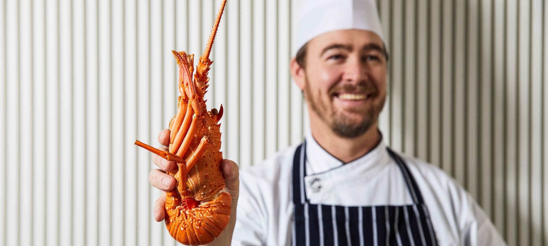 Our Executive Chef in Queensland | Citrique
