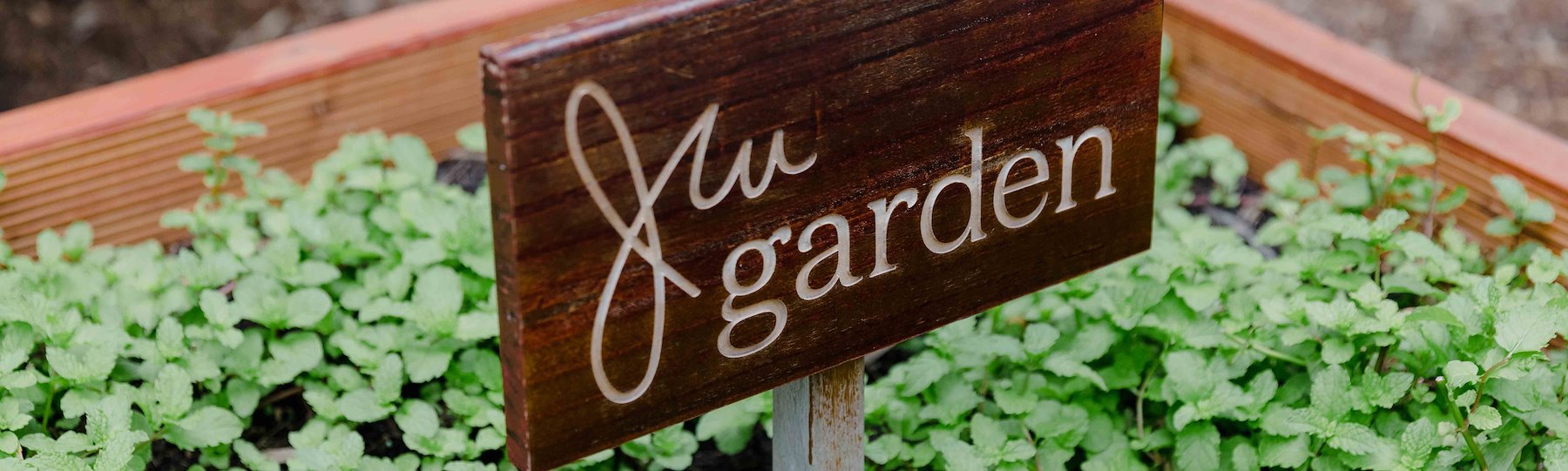 JW Garden in Surfers Paradise | Citrique